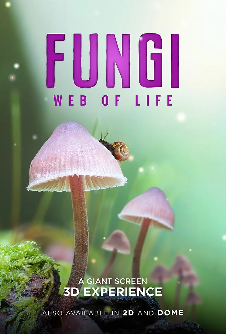 Fungi Web of Life Film – Dutch Australian